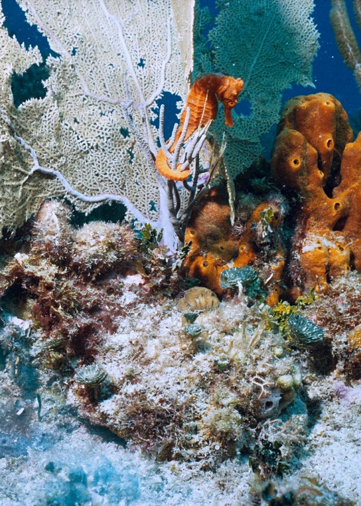 The 5 Best Planted Aquarium Substrates: Product Reviews and Why They're ...